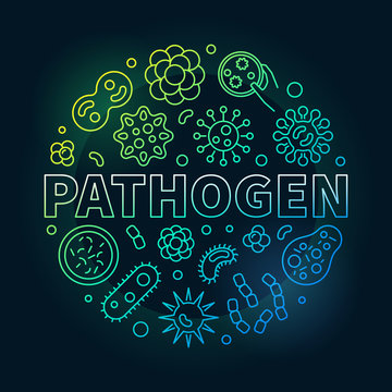 รูปภาพBacilli – เลือกดูภาพถ่ายสต็อก เวกเตอร์ และวิดีโอ5,825 | Adobe Stock