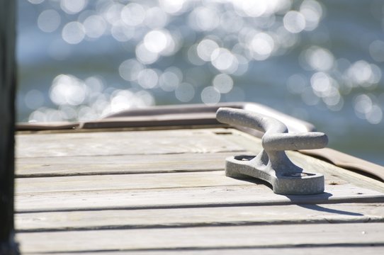 Cleet Images – Browse 16 Stock Photos, Vectors, and Video | Adobe Stock