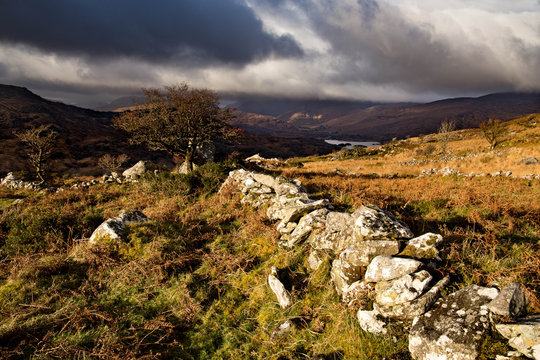 รูปภาพKenmare – เลือกดูภาพถ่ายสต็อก เวกเตอร์ และวิดีโอ828 | Adobe Stock