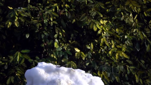 Decapitation Video Footage – Browse 382 HD Stock Video and Footage ...