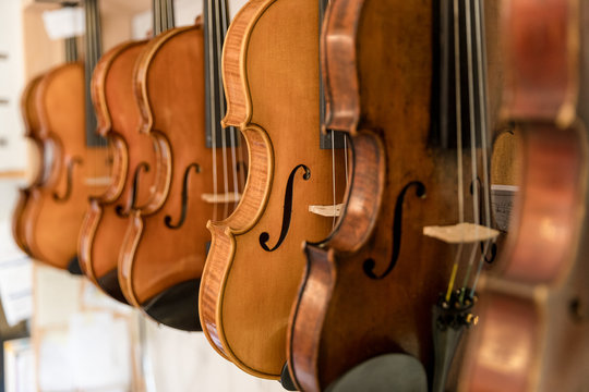 Geigen bilder – Bläddra bland 533 stockfoton, vektorer och videor ...