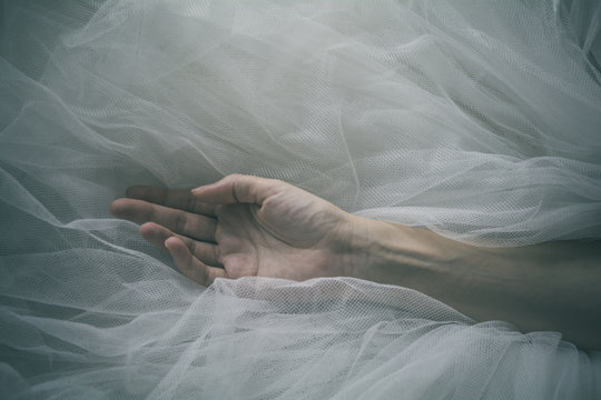 Tull Bilder – Durchsuchen 55,102 Archivfotos, Vektorgrafiken und Videos ...