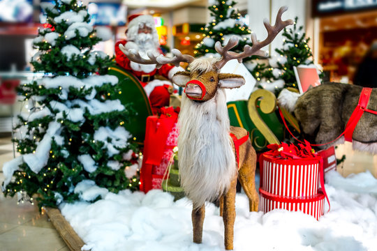 Scheusal Bilder – Durchsuchen 339 Archivfotos, Vektorgrafiken und ...