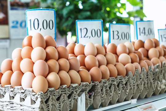 Venac Images – Browse 38 Stock Photos, Vectors, and Video | Adobe Stock