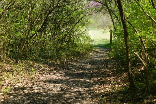 Walk The Path Less Traveled