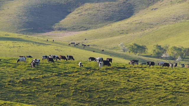 Bega 影像 – 瀏覽 1,397 個素材庫相片、向量圖和影片 | Adobe Stock