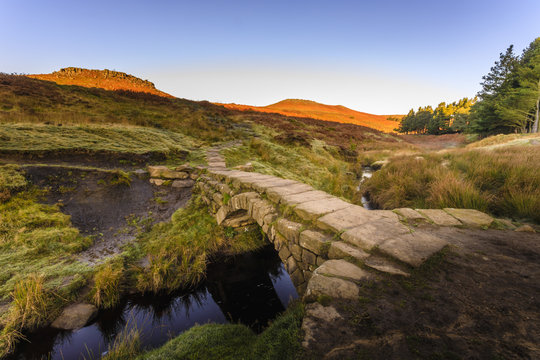 รูปภาพBurbage – เลือกดูภาพถ่ายสต็อก เวกเตอร์ และวิดีโอ469 | Adobe Stock