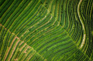 Search photos by iinspiration