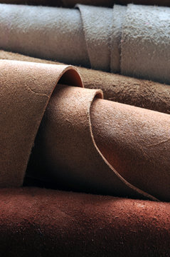 รูปภาพRotulus – เลือกดูภาพถ่ายสต็อก เวกเตอร์ และวิดีโอ1,683 | Adobe Stock