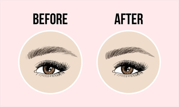 40 BEST Unibrow IMAGES, STOCK PHOTOS & VECTORS | Adobe Stock