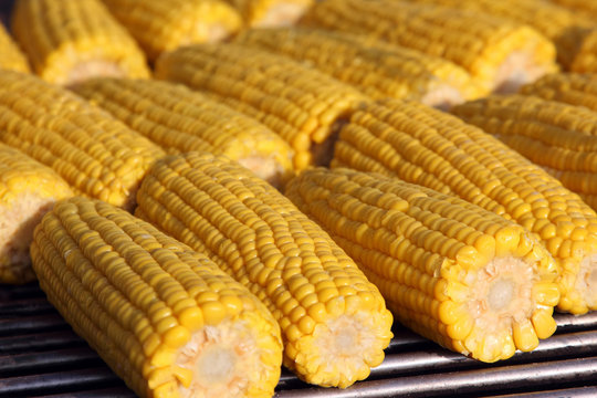 "Shelled Corn" Images – Browse 115 Stock Photos, Vectors, and Video ...