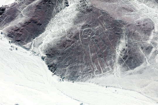 รูปภาพNazca – เลือกดูภาพถ่ายสต็อก เวกเตอร์ และวิดีโอ5,530 | Adobe Stock