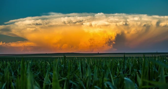 Idealic Images – Browse 298 Stock Photos, Vectors, and Video | Adobe Stock