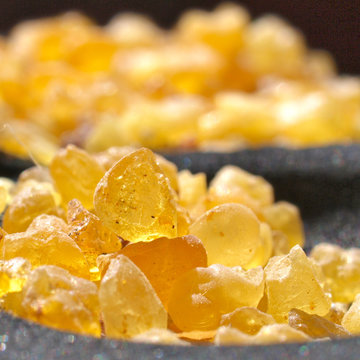 Gummiharz Als Indisches Gewurz
