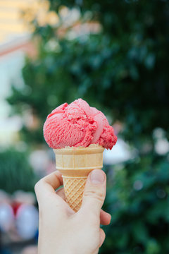 Justin Mulder photos, images, assets | Adobe Stock