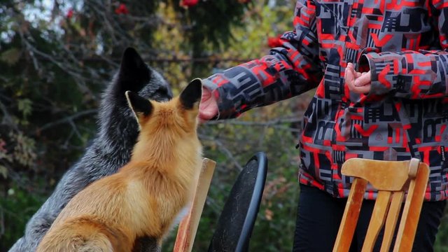 รูปภาพTamer – เลือกดูภาพถ่ายสต็อก เวกเตอร์ และวิดีโอ3,752 | Adobe Stock