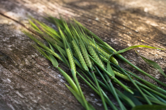 รูปภาพYeild – เลือกดูภาพถ่ายสต็อก เวกเตอร์ และวิดีโอ169 | Adobe Stock