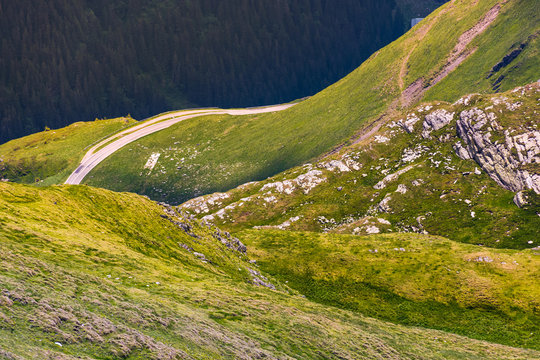 Fagarasan Images – Browse 38 Stock Photos, Vectors, and Video | Adobe Stock