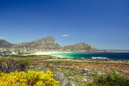 "Pringle Bay" Images – Browse 145 Stock Photos, Vectors, and Video ...