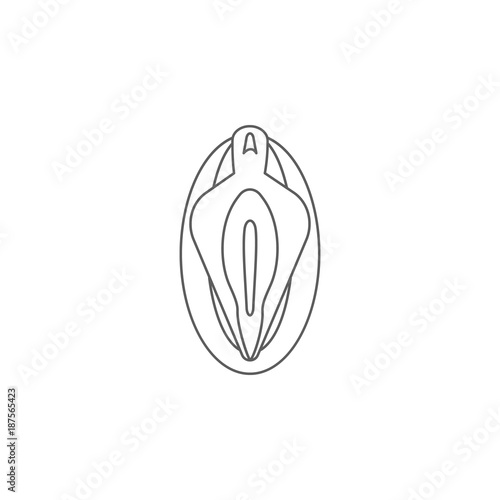 "Vagina line icon. Body part element. Premium quality graphic design. Signs, outline symbols ...