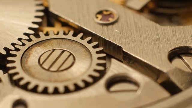 รูปภาพScrewball – เลือกดูภาพถ่ายสต็อก เวกเตอร์ และวิดีโอ319 | Adobe Stock