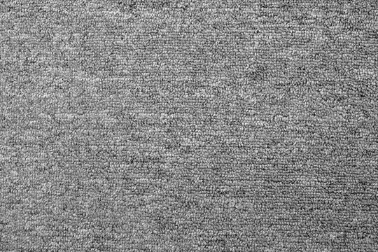Light Grey Carpet Texture