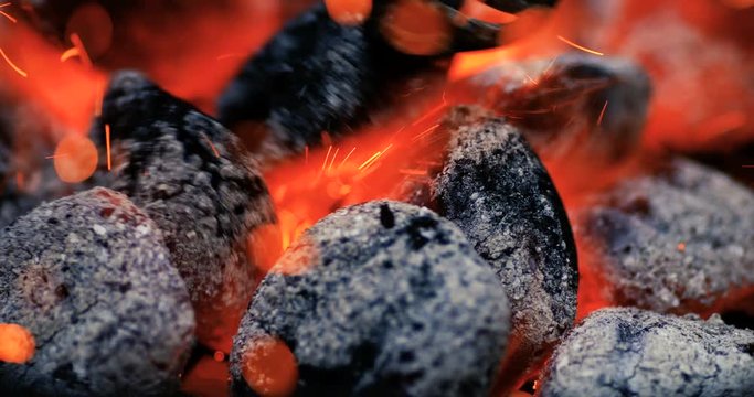 Braised Pig Claw Templates – Free Editable Designs | PikWizard