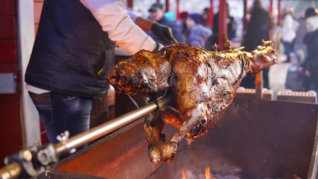 Imágenes de Skewel: descubre bancos de fotos, ilustraciones, vectores y ...