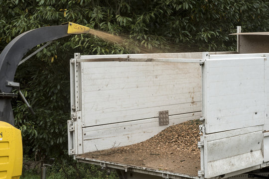 Broyeuse Images – Browse 31 Stock Photos, Vectors, and Video | Adobe Stock