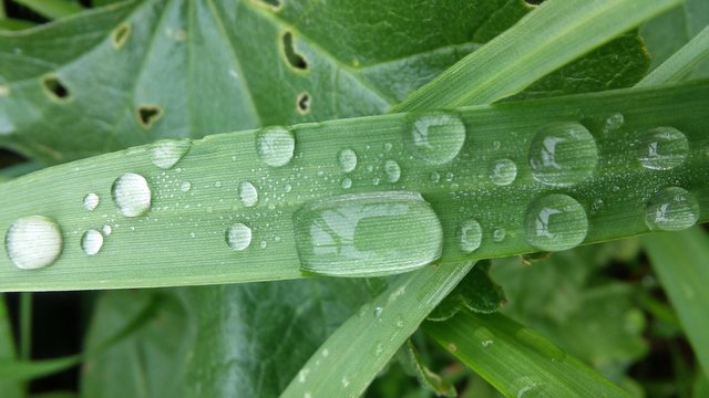 Imágenes de Humeda: descubre bancos de fotos, ilustraciones, vectores y ...