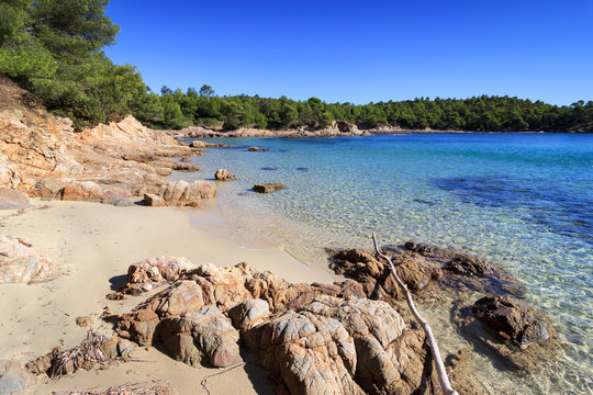 Fotolia - Images et vidéos libres de droits | Adobe Stock