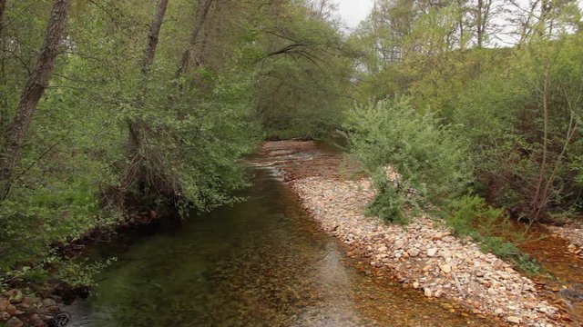 Imágenes de Ramajes: descubre bancos de fotos, ilustraciones, vectores ...