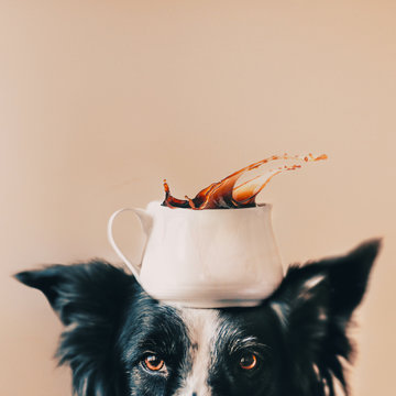 Buzzy Images – Browse 139 Stock Photos, Vectors, and Video | Adobe Stock