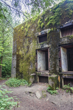 Mauerwald Images – Browse 104 Stock Photos, Vectors, and Video | Adobe ...