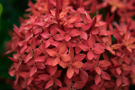 「Viruchi」の画像 - 167 件の Stock 写真、ベクターおよびビデオ | Adobe Stock