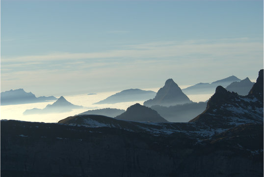 Natu Images – Browse 1,522 Stock Photos, Vectors, and Video | Adobe Stock