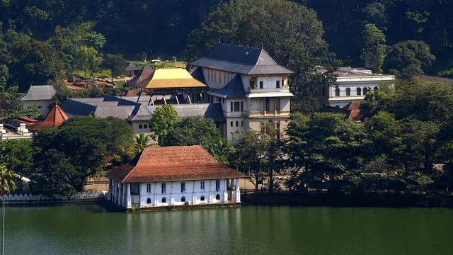 "Golden Canopy" Bilder – Durchsuchen 33 Archivfotos, Vektorgrafiken und ...