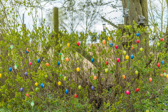 รูปภาพOsterstrauch – เลือกดูภาพถ่ายสต็อก เวกเตอร์ และวิดีโอ802 | Adobe ...