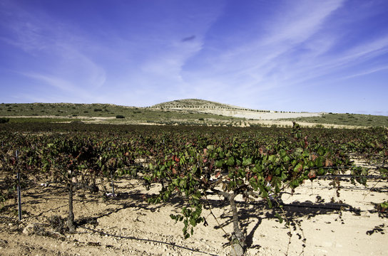 รูปภาพJumilla – เลือกดูภาพถ่ายสต็อก เวกเตอร์ และวิดีโอ362 | Adobe Stock