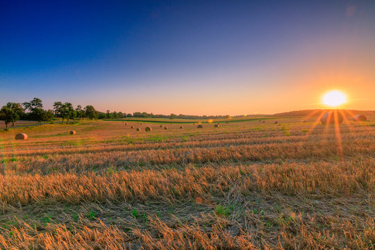 Sommersonne Imagens – Procure 1,077 fotos, vetores e vídeos | Adobe Stock