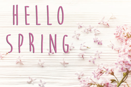 "Hello Spring Text" Images – Browse 60 Stock Photos, Vectors, and Video ...