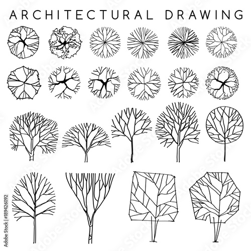 Architectural Design Drawings Trees
