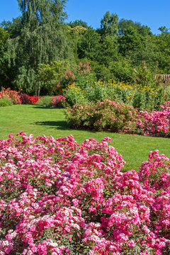 "Jardin Fleuri" Images – Browse 2,414 Stock Photos, Vectors, and Video ...