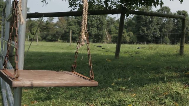 Obrázky Summer-Day – procházejte fotografie, vektory a videa 109 ...