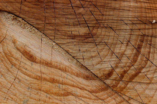 「Holztextur」の写真素材 | 5,001件の無料イラスト画像 | Adobe Stock