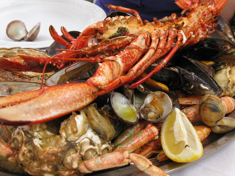 Imágenes de Mariscada: descubre bancos de fotos, ilustraciones ...