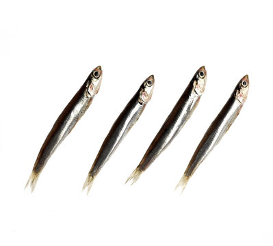 Saldine Images – Browse 3 Stock Photos, Vectors, and Video | Adobe Stock