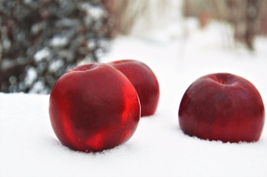 Rea Bilder – Durchsuchen 1,972 Archivfotos, Vektorgrafiken und Videos ...