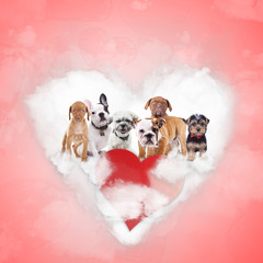 Viorel Sima photos, images, assets | Adobe Stock