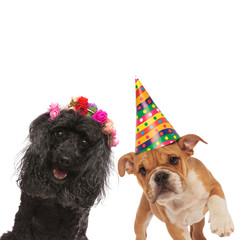 Viorel Sima photos, images, assets | Adobe Stock